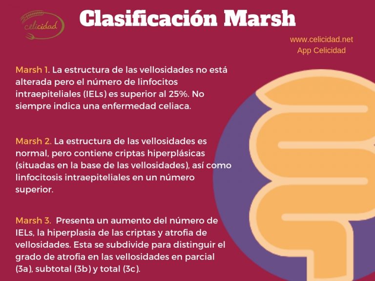 Clasificación Marsh: los grados de lesión del intestino en celiacos