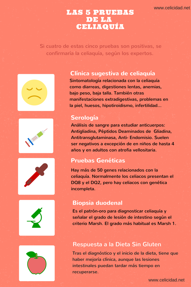 Las cinco pruebas de diagnóstico de la celiaquía - Celicidad
