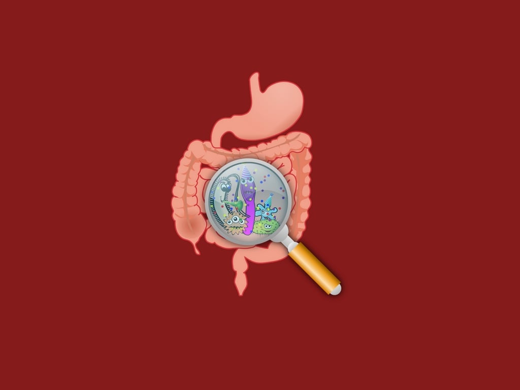 Biopsia intestinal para diagnosticar celiaquía: paso a paso